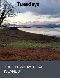 W-Tidal-Islands | Croagh Patrick and the Islands of Clew Bay